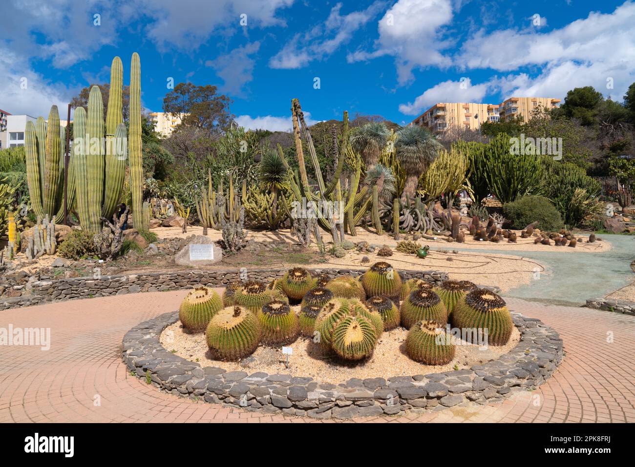Parque la Paloma Benalmadena park with cactus plants Spain Costa del ...