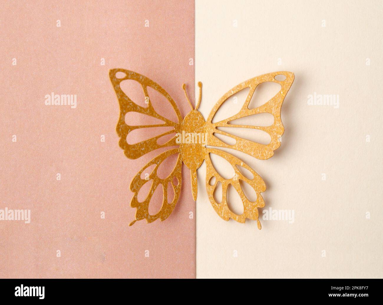 Butterfly made from carve paper or cutting on beautiful background with ...