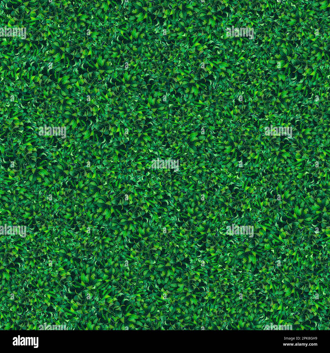 Random grass hi-res stock photography and images - Alamy