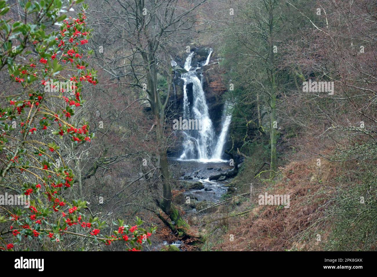 Posforth gill waterfall hi-res stock photography and images - Alamy