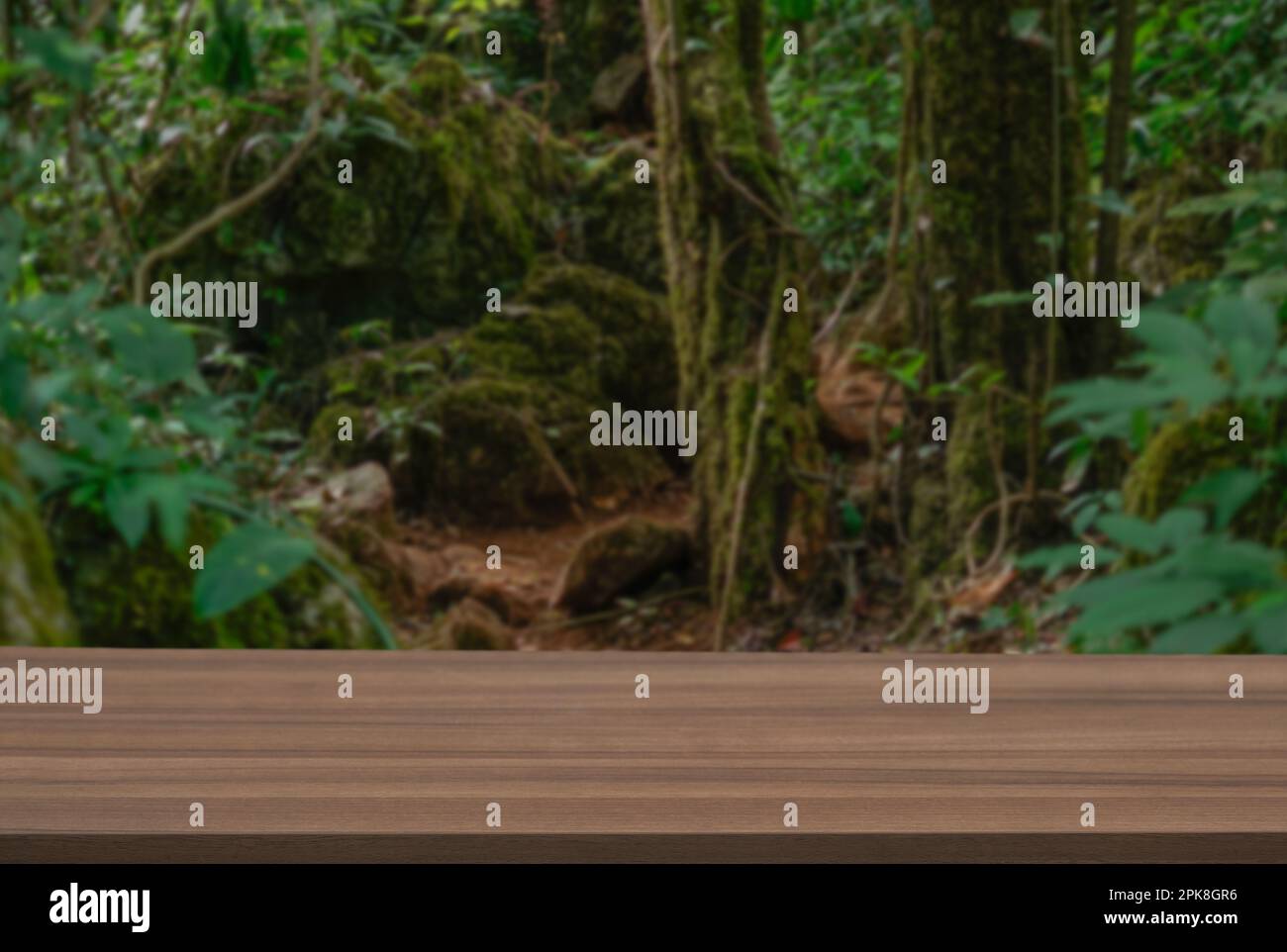 Wood tabletop podium floor in outdoors green leaf tropical forest ...