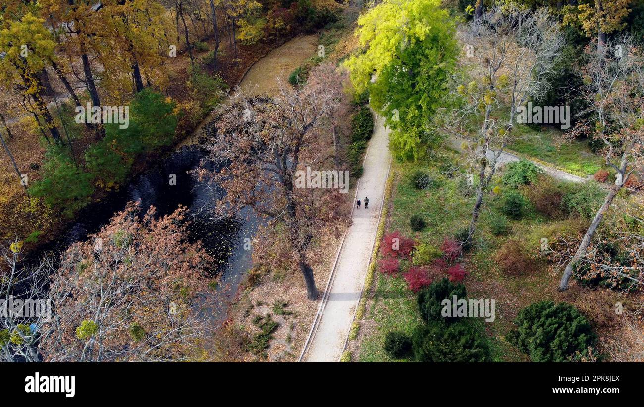 Beautiful view people walking on ground paths near the lake in a park ...