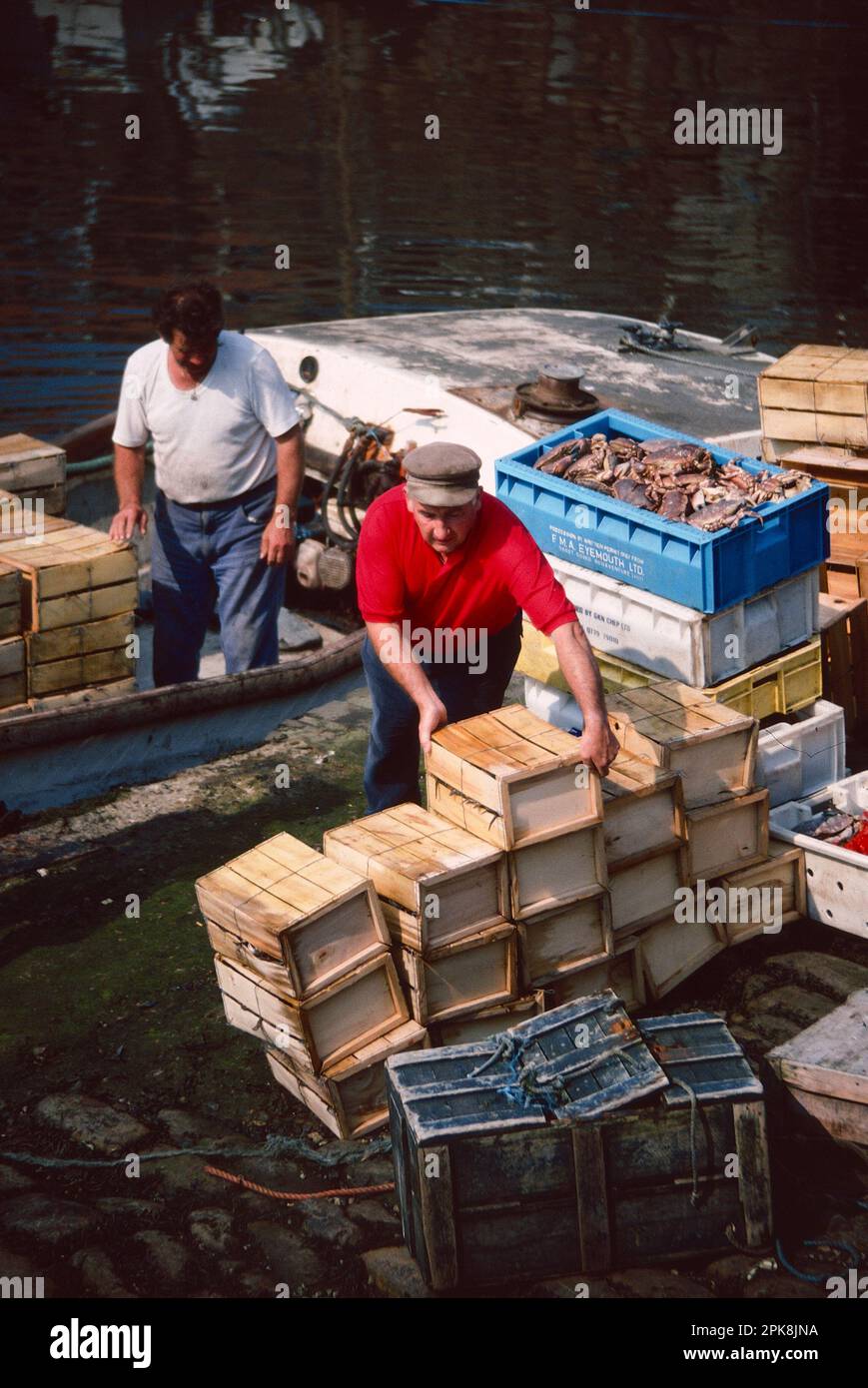 Crab fishermen landing their catch at Crail harbour, Fife, Scotland ...