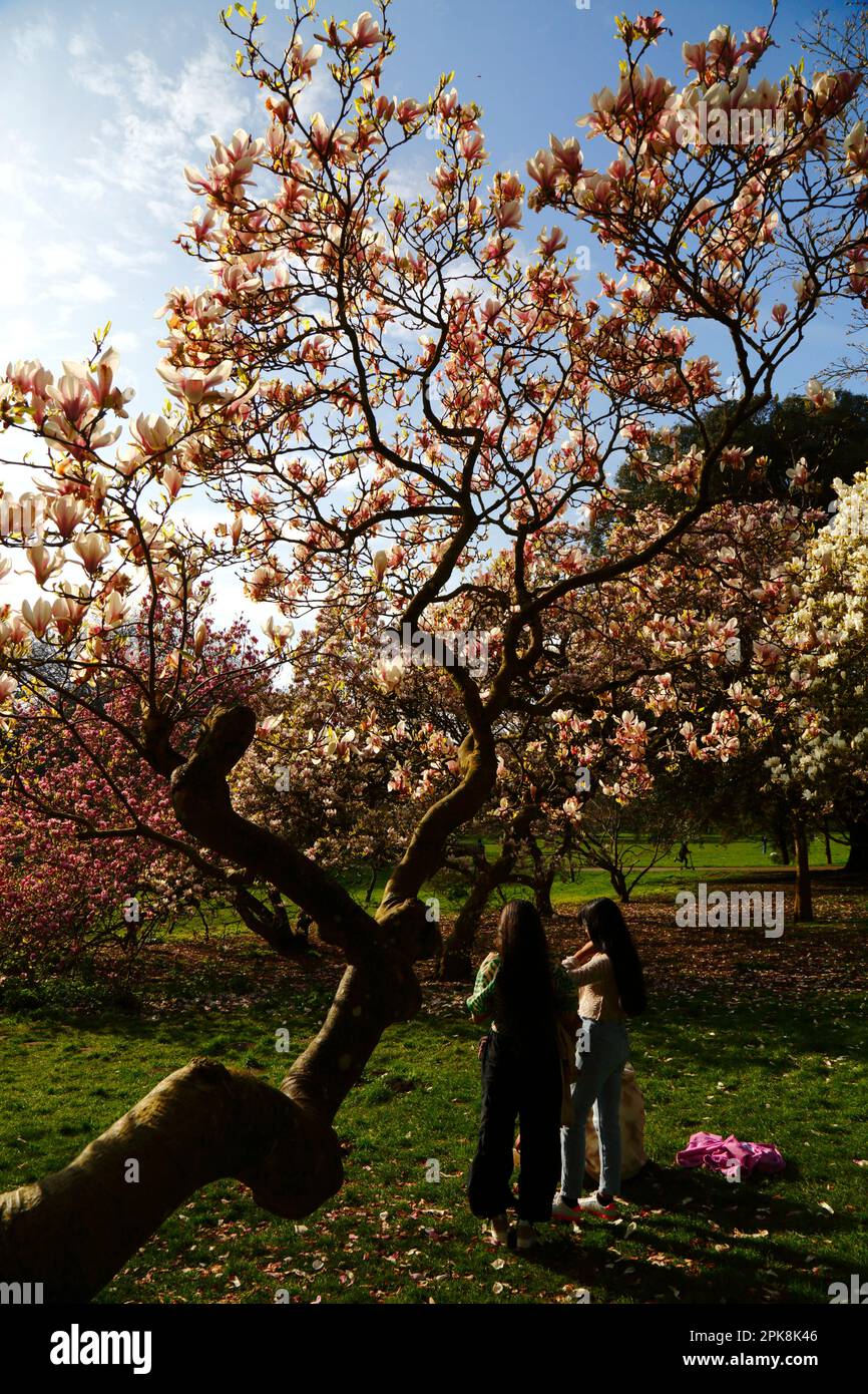 UK Weather April 4th, 2023. Cardiff, Suth Wales. People enjoy a sunny ...