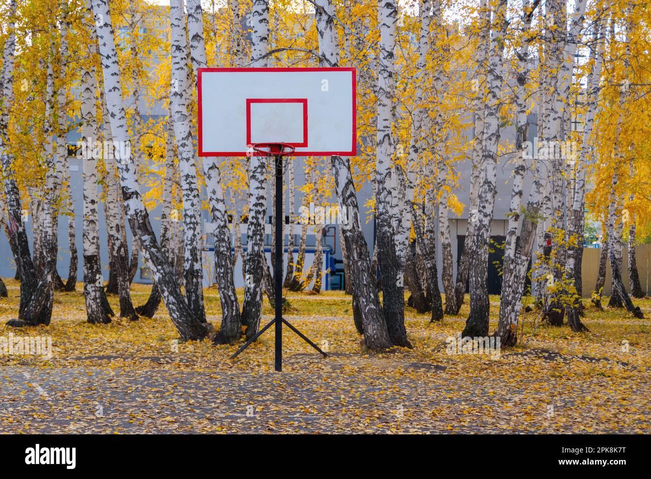Outdoor sports ground. White Basketball Shield with a red ring in the ...