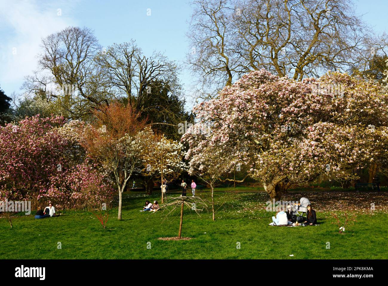 Female sitting on a blossom hi-res stock photography and images - Alamy