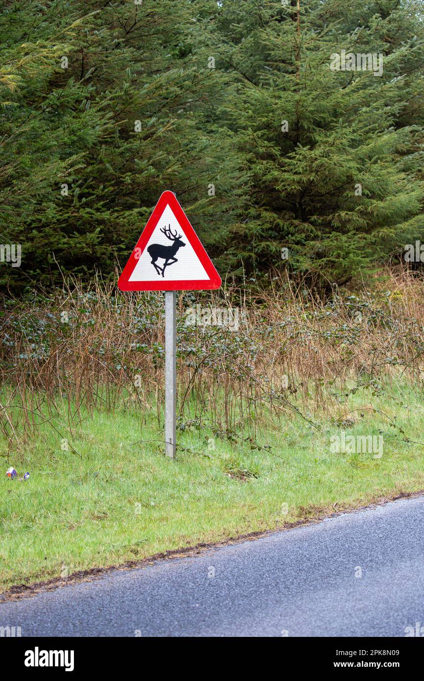 Red triangle deer warning sign Stock Photo - Alamy