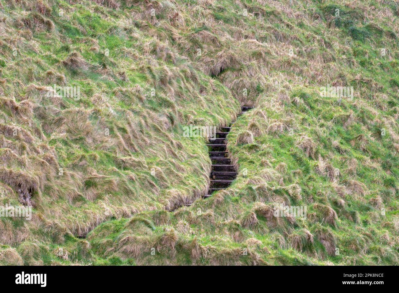 Steps in the steep cliff walk to Kinbane Castle ruins, Ballycastle, UK ...