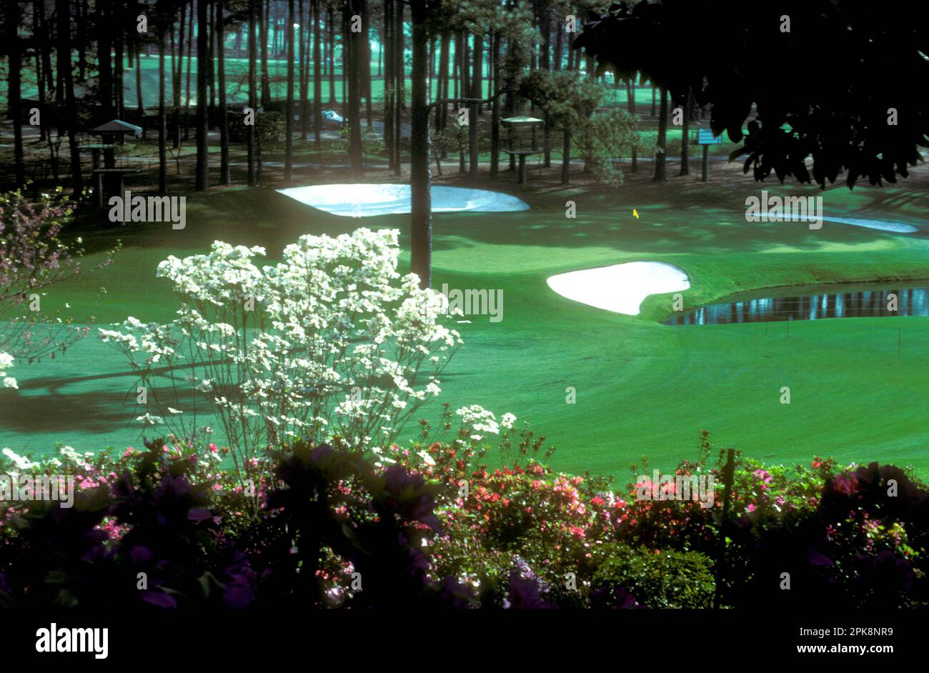 Augusta Golf Course Hole Number 16 Stock Photo - Alamy