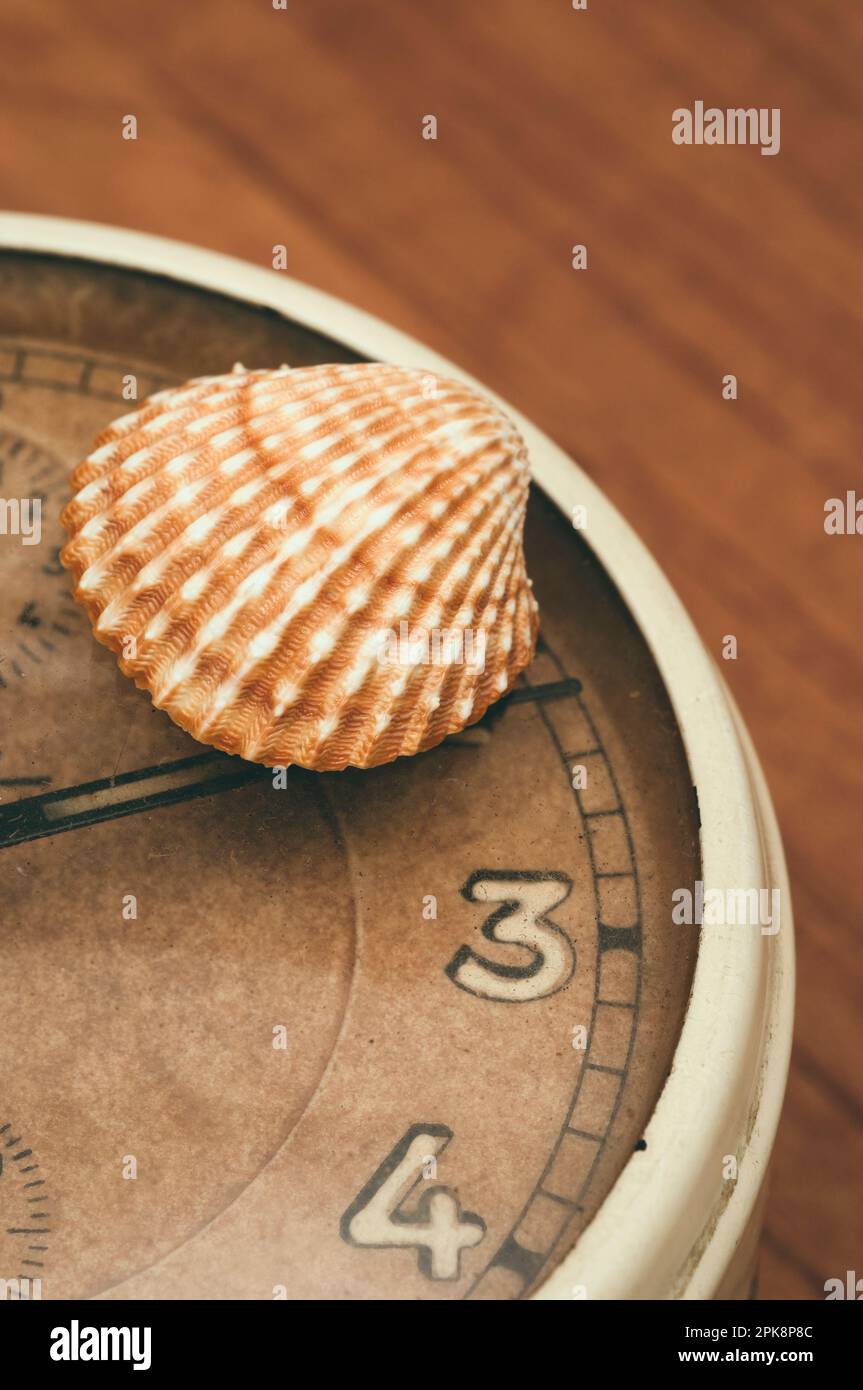 seashell and old alarm clock Stock Photo - Alamy