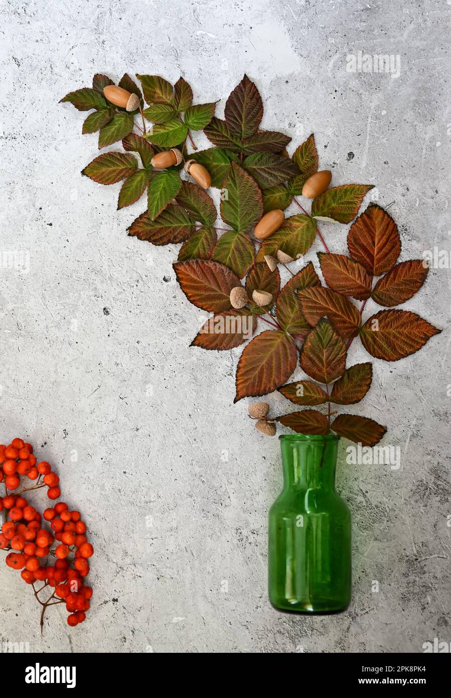 Autumn still life with falling leaves Stock Photo - Alamy