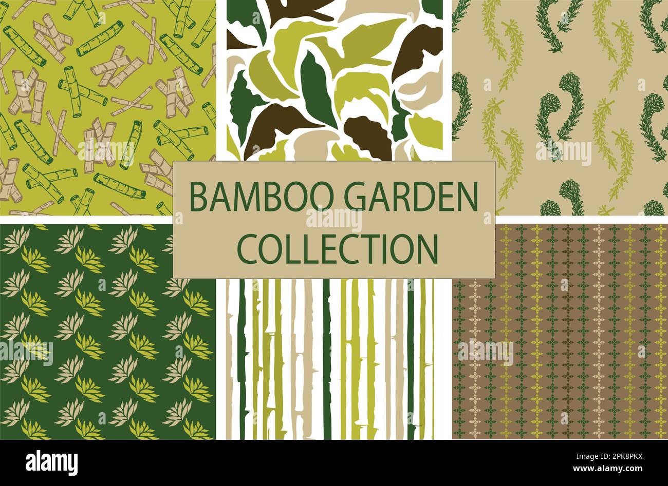 Set of seamless repeat pattern design. Tropical Bamboo Collection for ...
