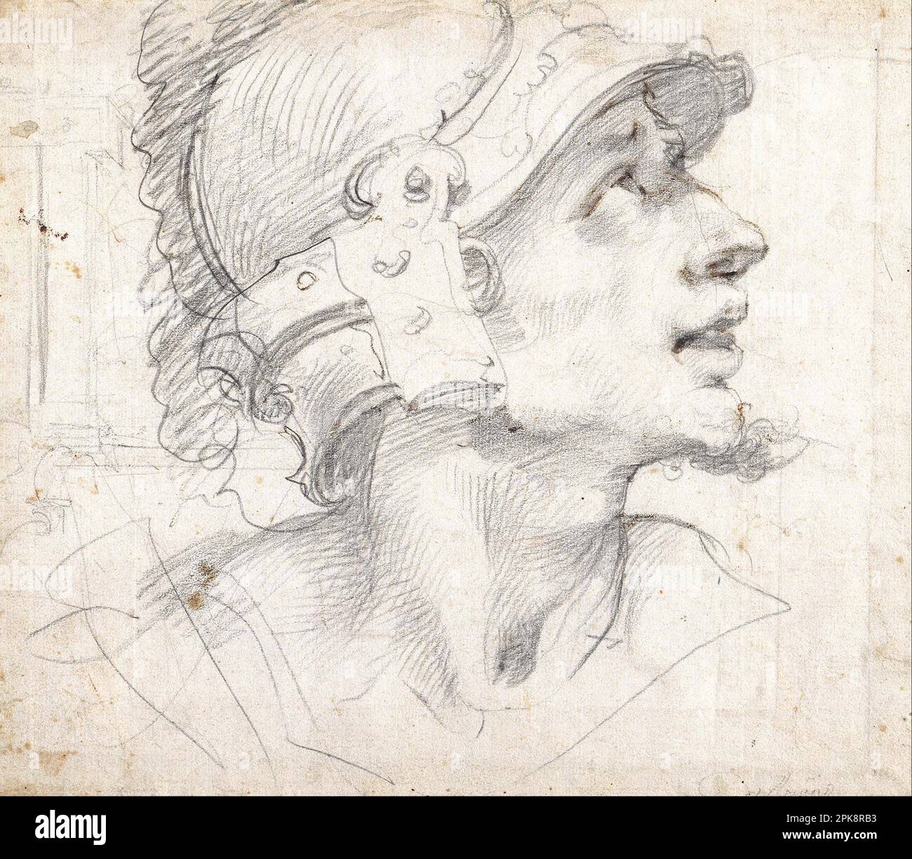 Cavalier darpino hi-res stock photography and images - Alamy