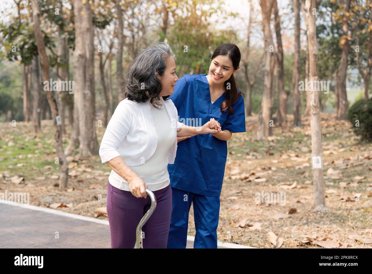 nurse helping elderly woman with walker Nurse holding hand and help elderly woman walking in ...