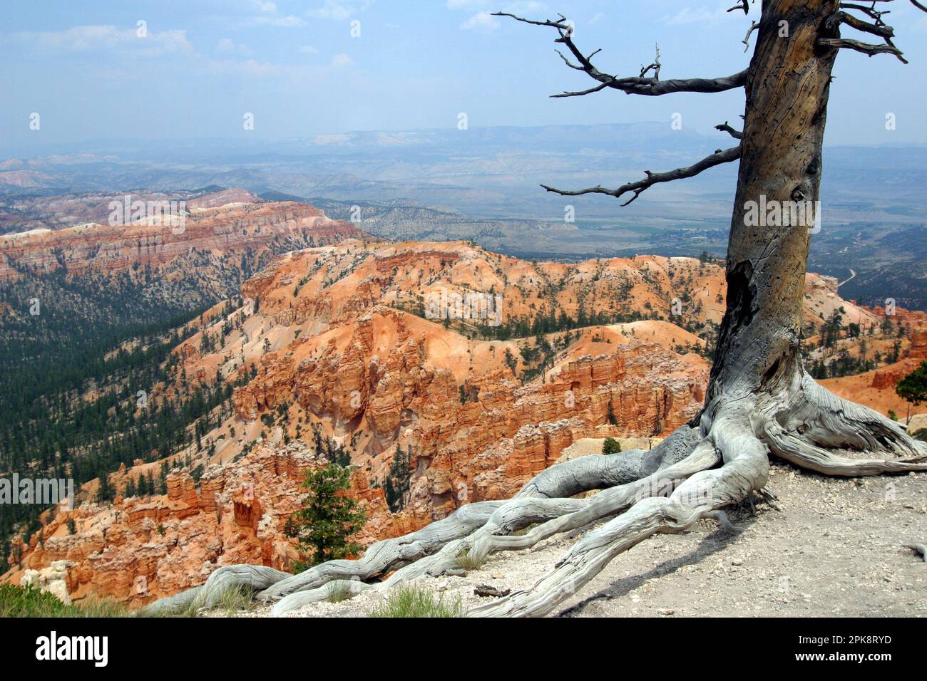 Canyon aussichtspunkt hi-res stock photography and images - Alamy