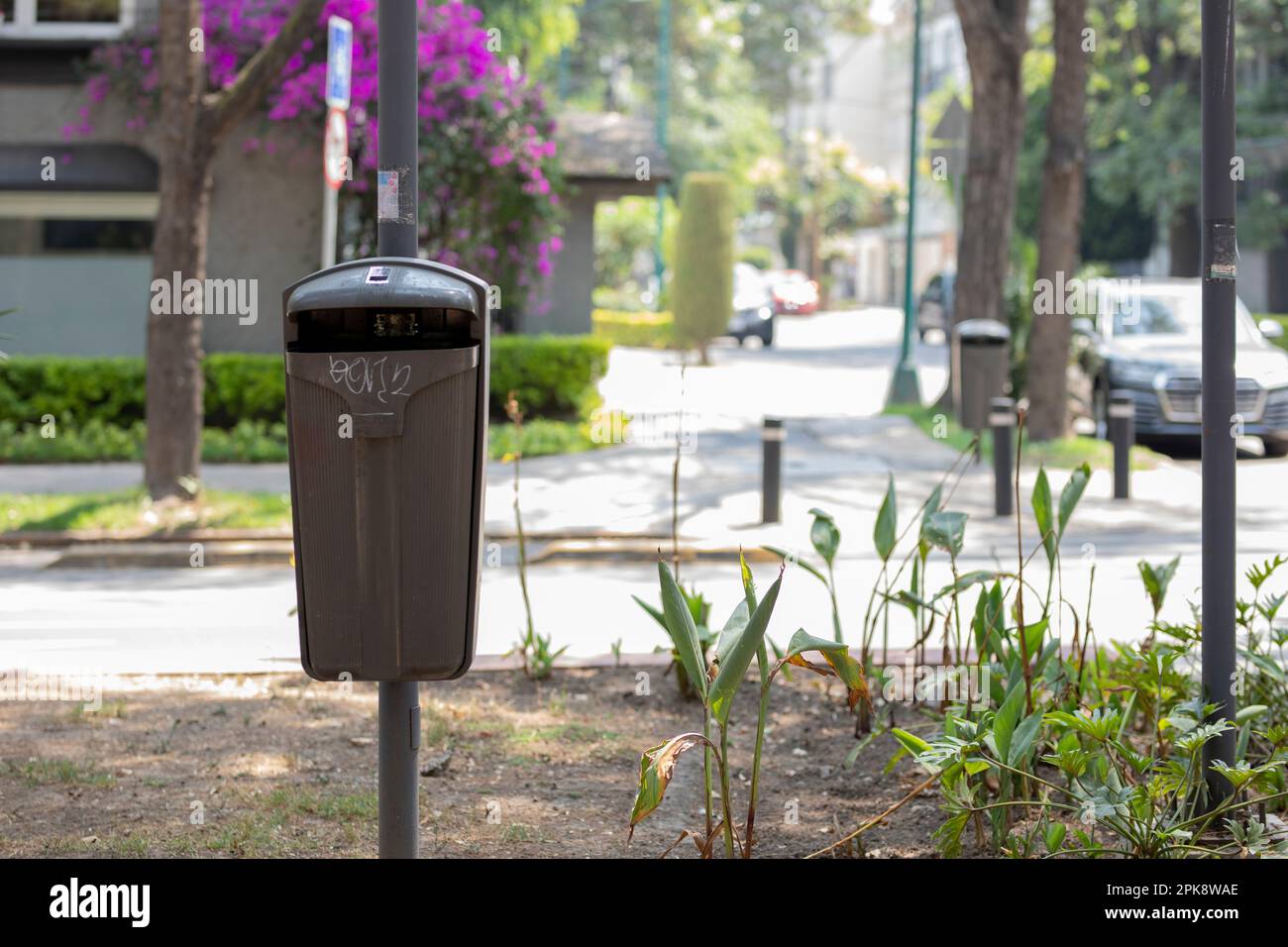 Mexico city ecology hi-res stock photography and images - Alamy