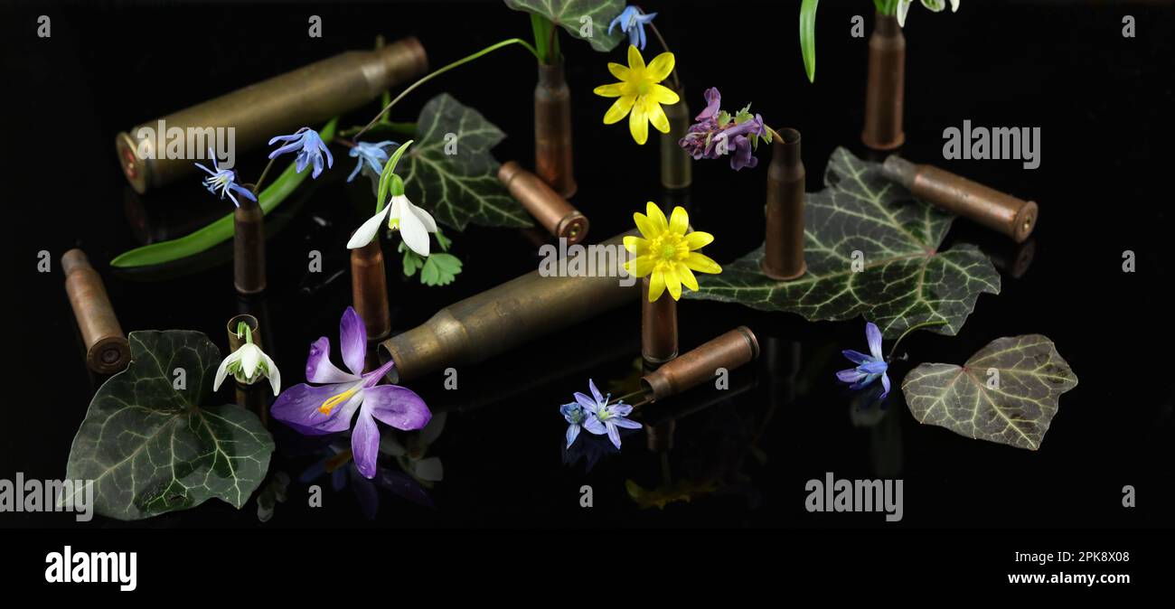 spring colored flowers with gun shells on the black background Stock ...