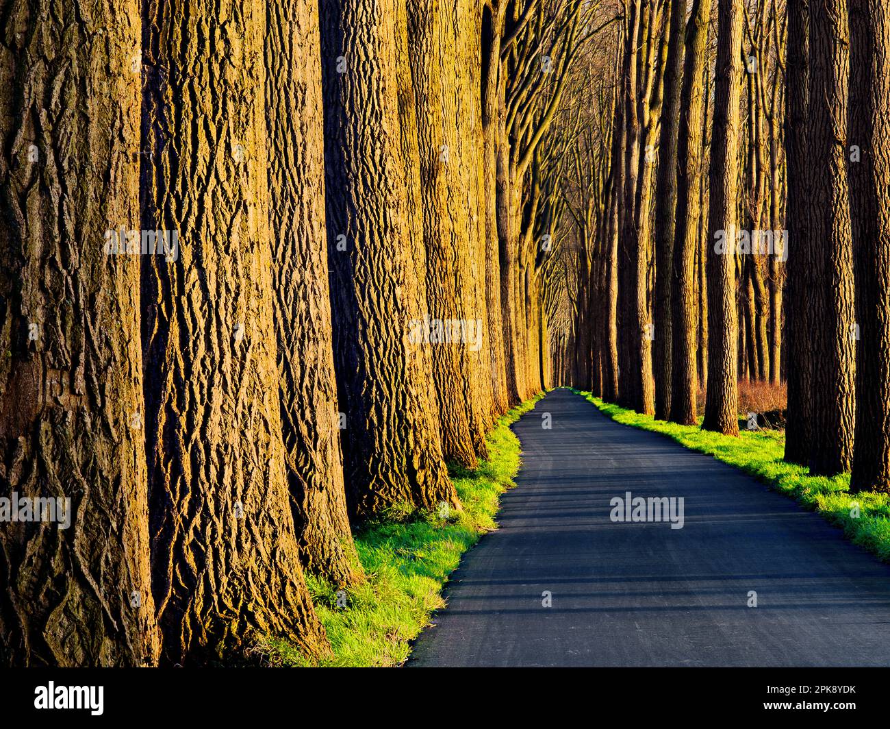 Bezirk brugge hi-res stock photography and images - Alamy