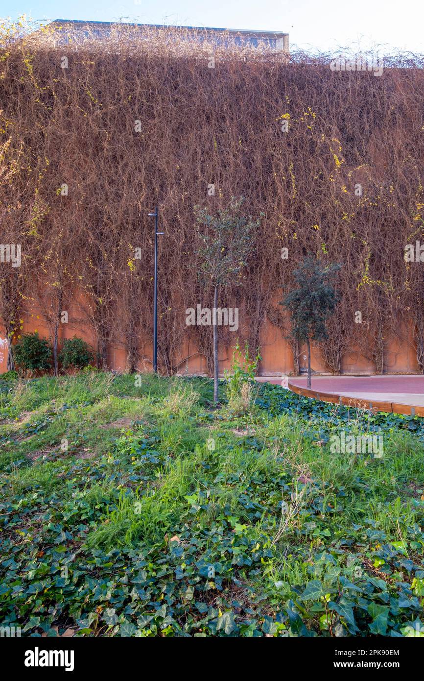 Natural landscape in an urban environment in a contemporary modern city ...