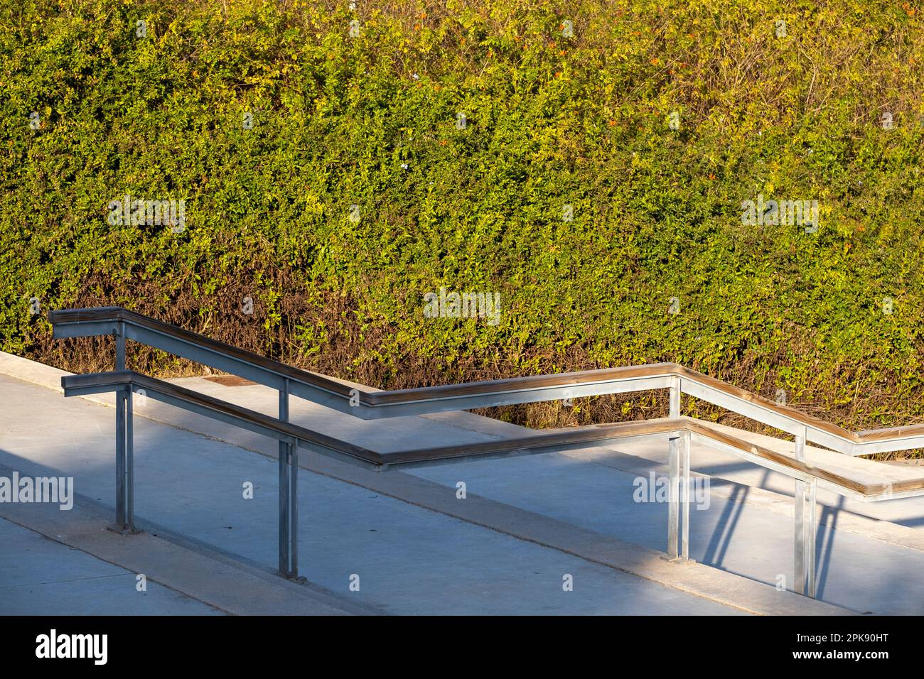 Natural landscape in an urban environment in a contemporary modern city ...