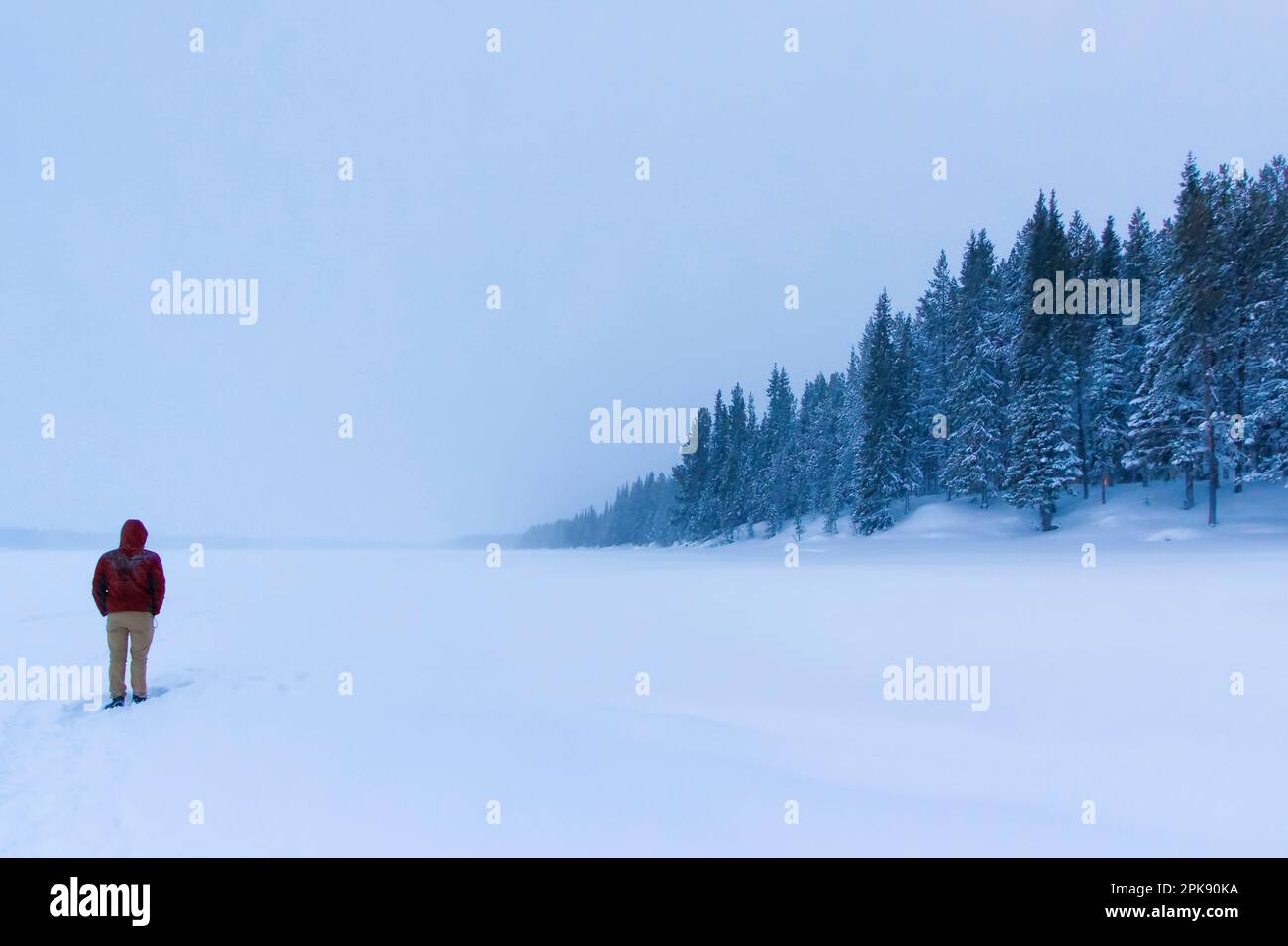 Winter wonderland during cold hi-res stock photography and images - Alamy