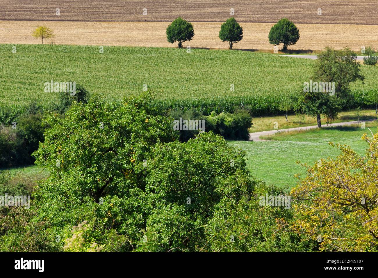 Trees lining hi-res stock photography and images - Alamy