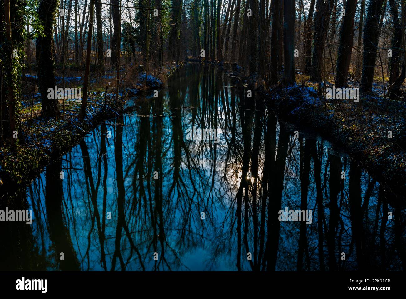 Large wide river in a forest in winter, beautiful water reflections ...