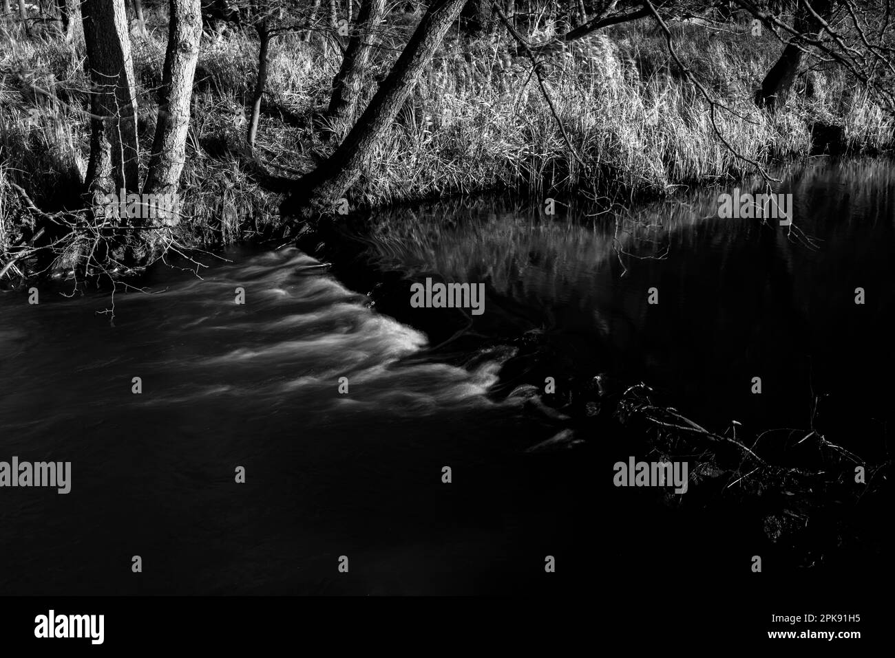 Short long exposure to a small river in a forest, black and white ...