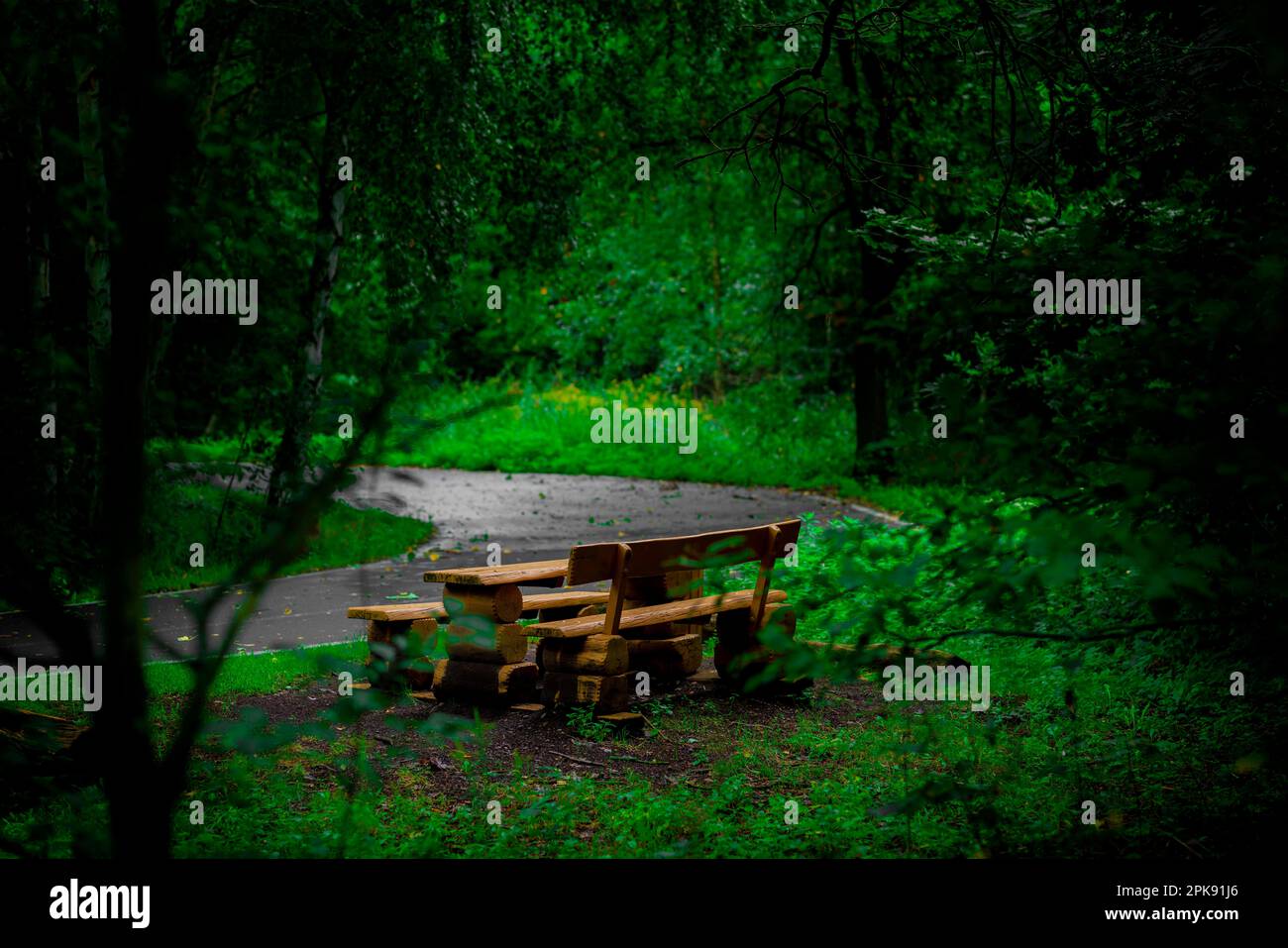 Table and benches made of wood, next to a bike path in the forest, pure ...