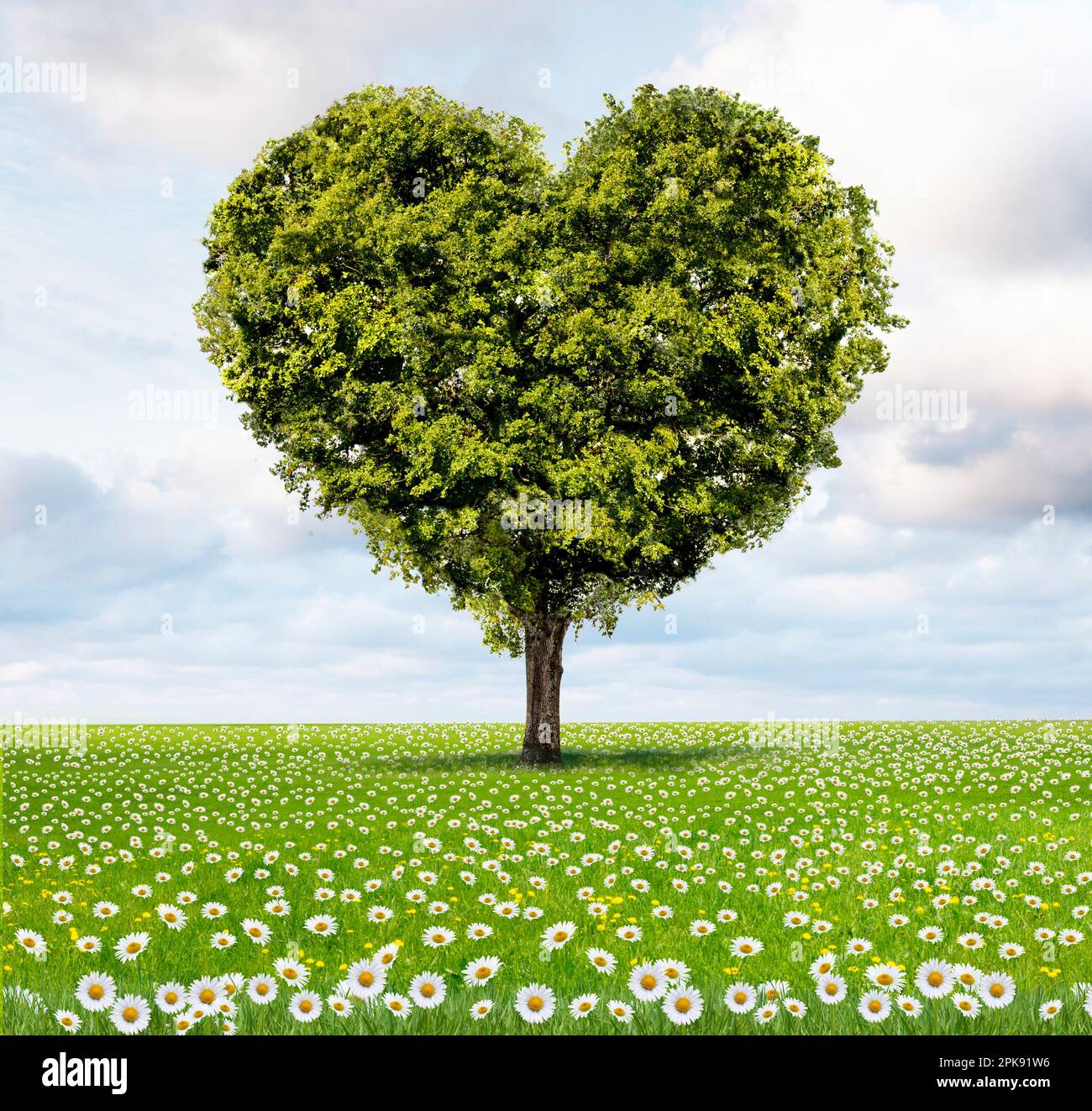 Green tree in shape of heart on a meadow [M] Stock Photo - Alamy