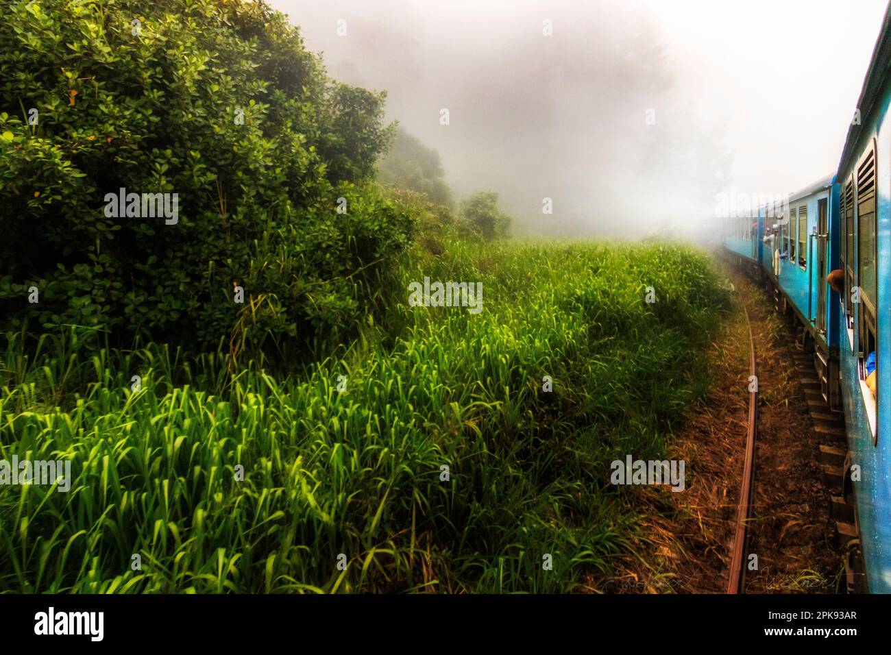 The famous blue train between Kandy and Ella on Sri Lanka Rainy weather ...