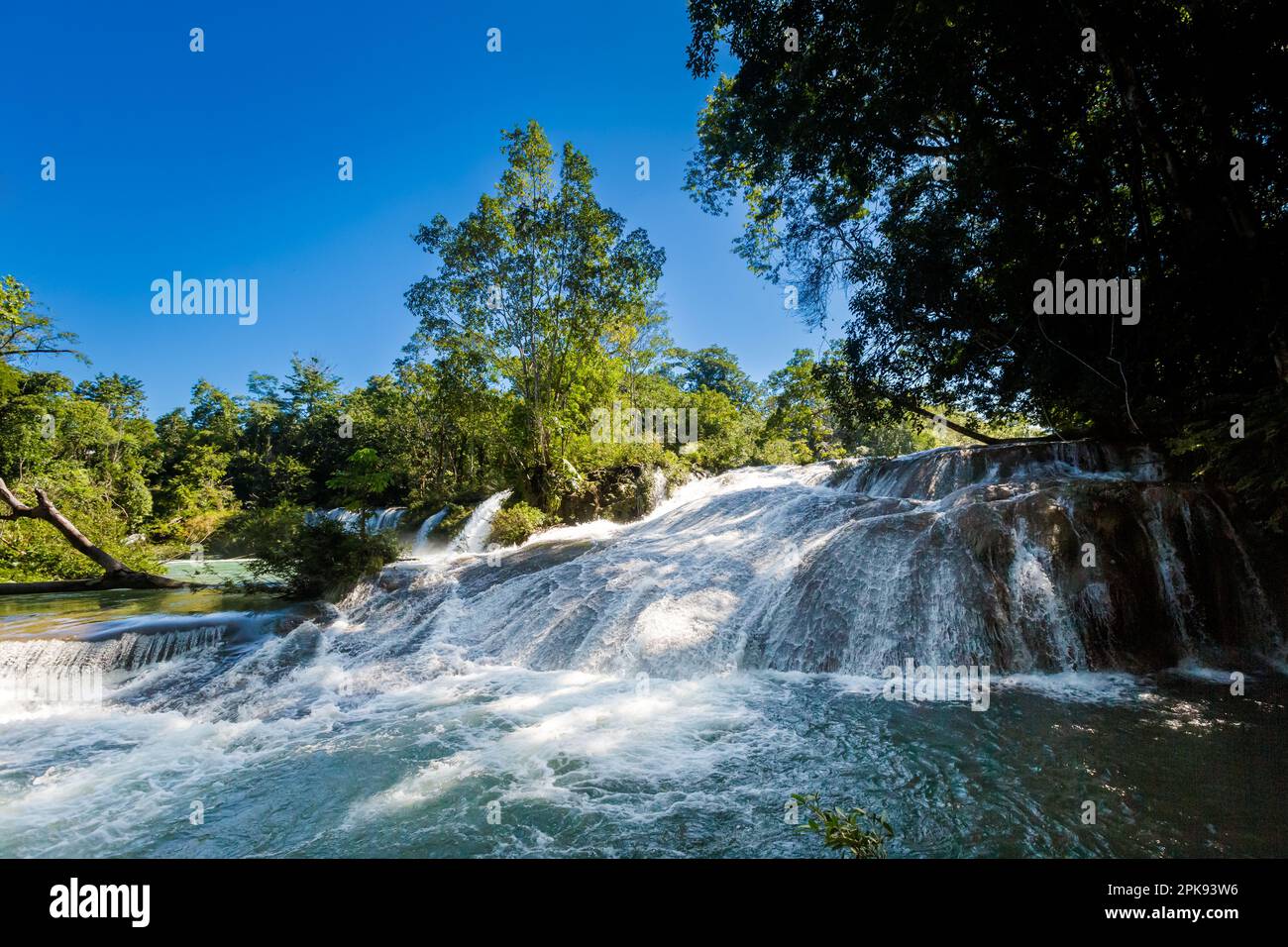 Beautiful nature in Roberto Barrios cascadas park, Palenque in Mexico ...