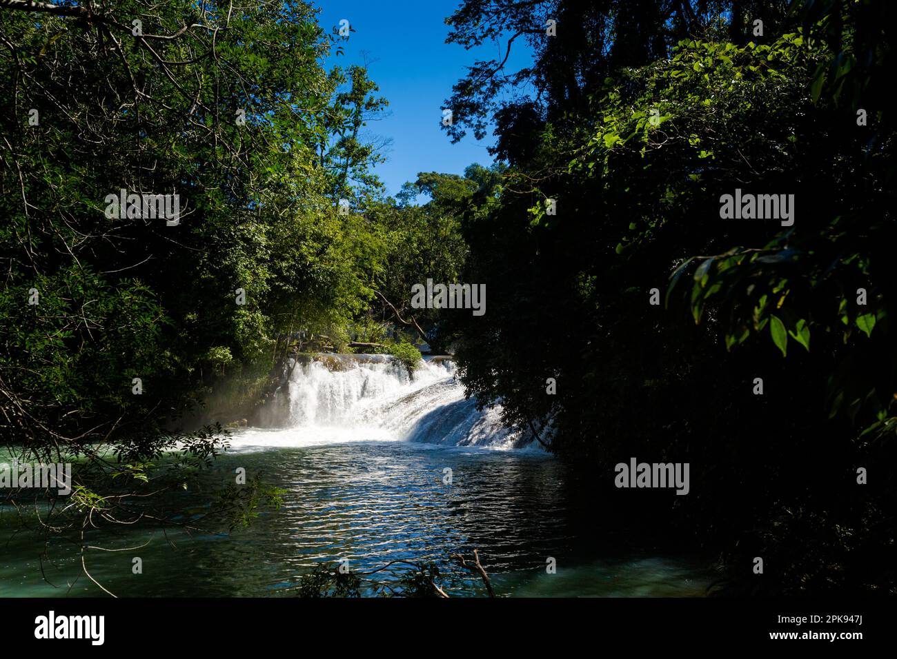 Beautiful nature in Roberto Barrios cascadas park, Palenque in Mexico ...