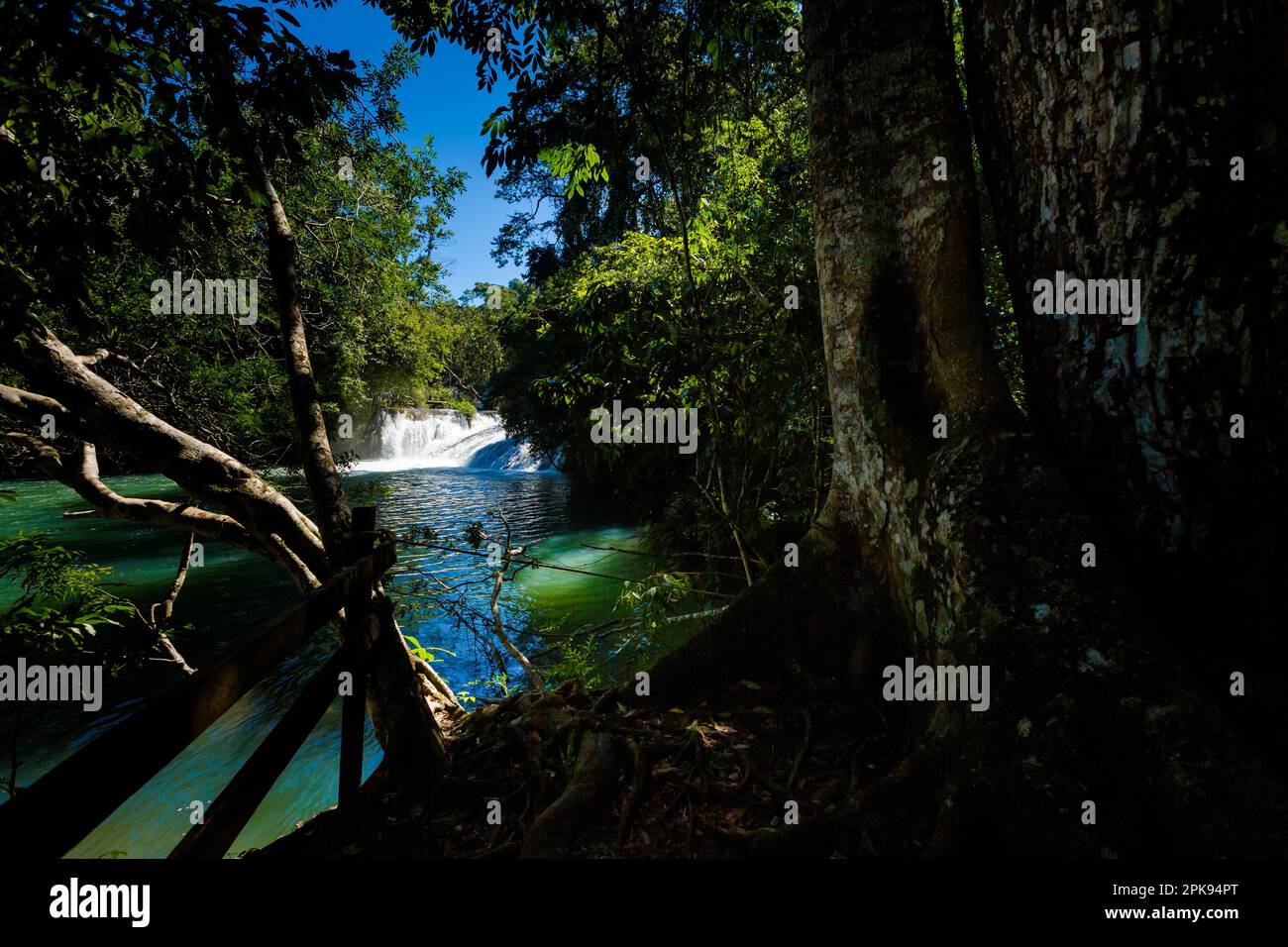 Beautiful nature in Roberto Barrios cascadas park, Palenque in Mexico ...