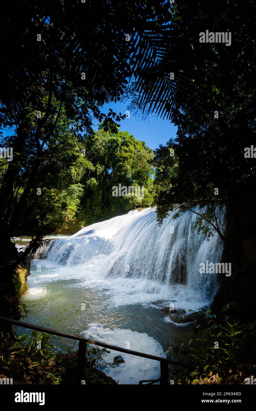Beautiful nature in Roberto Barrios cascadas park, Palenque in Mexico ...