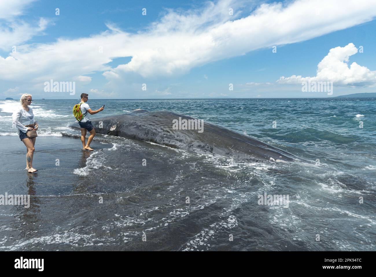 Bali, Indonesia. 6th Apr, 2023. People walk near a stranded sperm whale ...