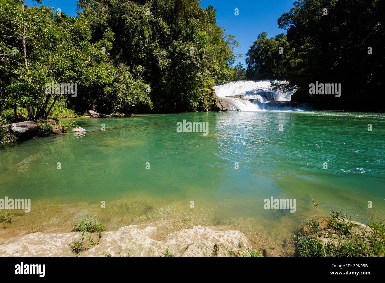Beautiful nature in Roberto Barrios cascadas park, Palenque in Mexico ...