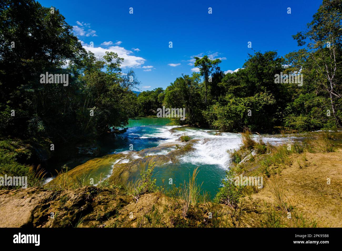 Beautiful nature in Roberto Barrios cascadas park, Palenque in Mexico ...