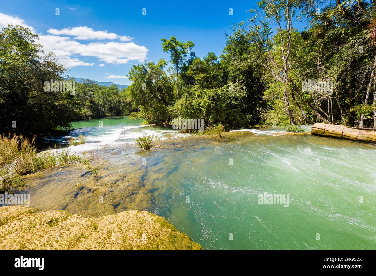 Beautiful nature in Roberto Barrios cascadas park, Palenque in Mexico ...