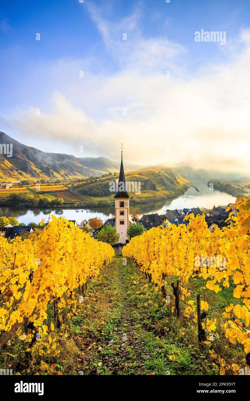 Gorgeous sunrise over the Mosel loop near Bremm. Autumn photo of the ...