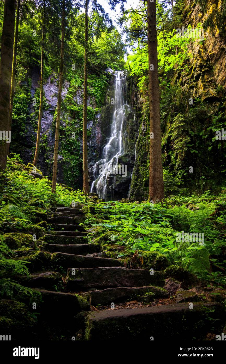 The Burgbach waterfall in Bad Rippoldsau-Schapbach in the middle of the ...