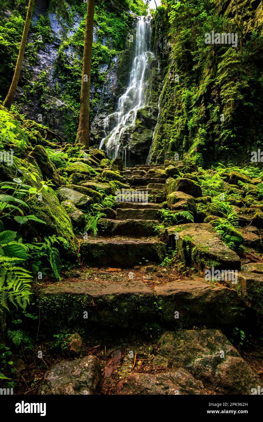 The Burgbach waterfall in Bad Rippoldsau-Schapbach in the middle of the ...