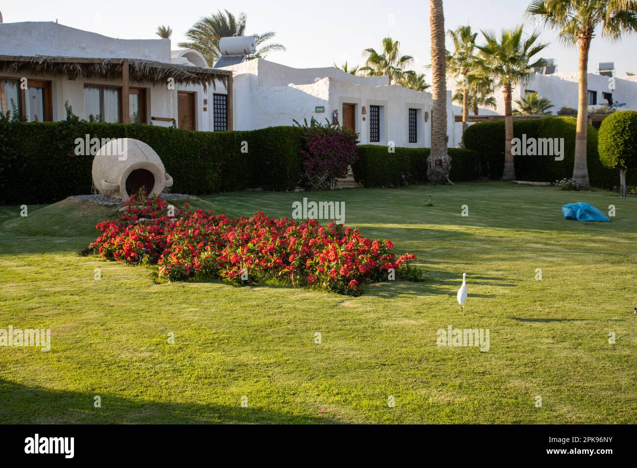 SHARM EL SHEIKH, EGYPT - JANUARY 26, 2023 Labranda Sharm Club garden ...
