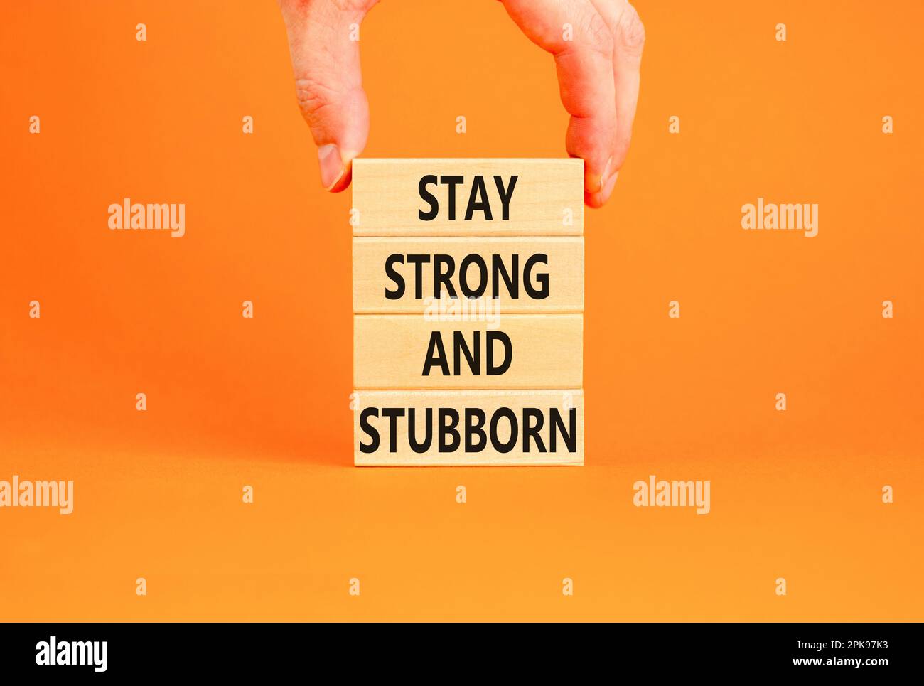 Stay strong and stubborn symbol. Concept words Stay strong and stubborn ...