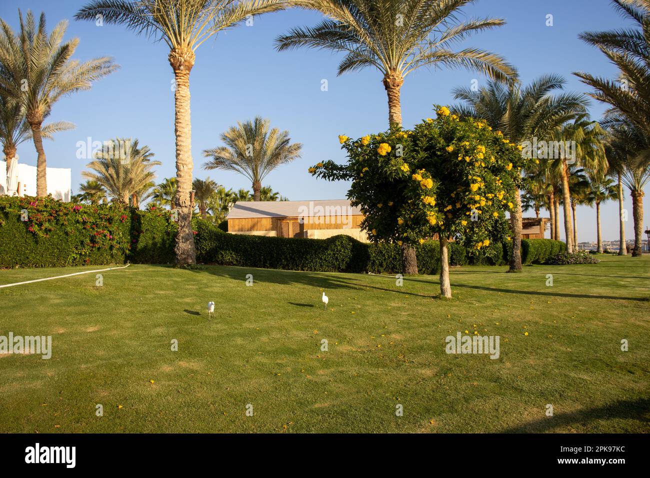 SHARM EL SHEIKH, EGYPT - JANUARY 27, 2023 Labranda Sharm Club formal ...