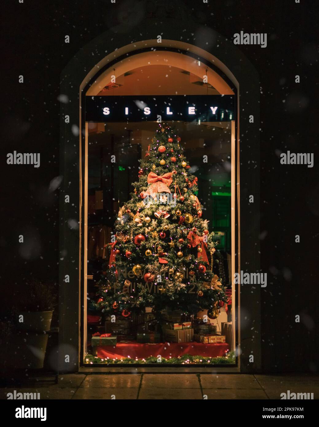 An illuminated decorated Christmas tree in the window of a storefront ...