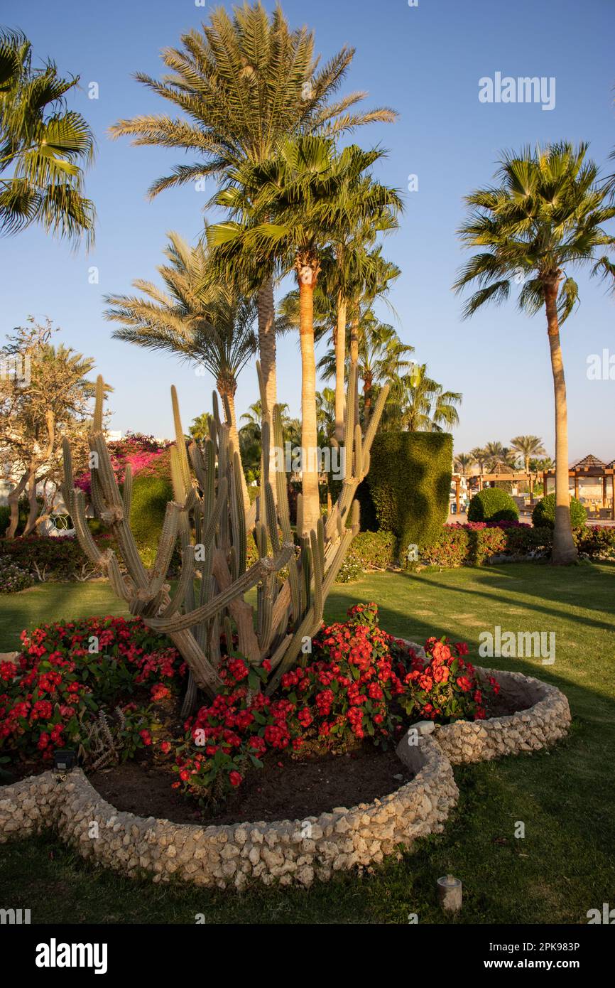 SHARM EL SHEIKH, EGYPT - JANUARY 27, 2023 Labranda Sharm Club formal ...