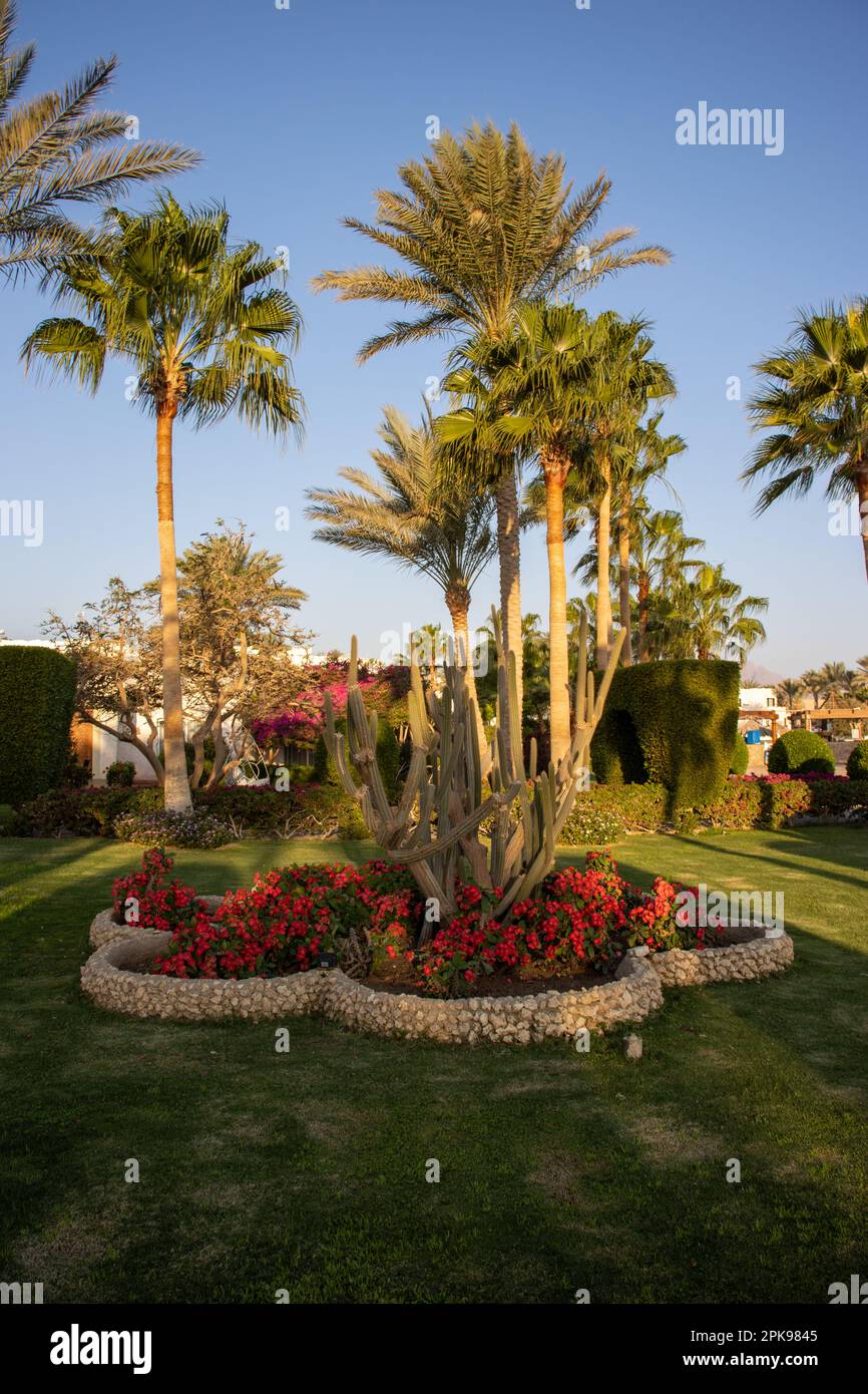 SHARM EL SHEIKH, EGYPT - JANUARY 27, 2023 Labranda Sharm Club formal ...