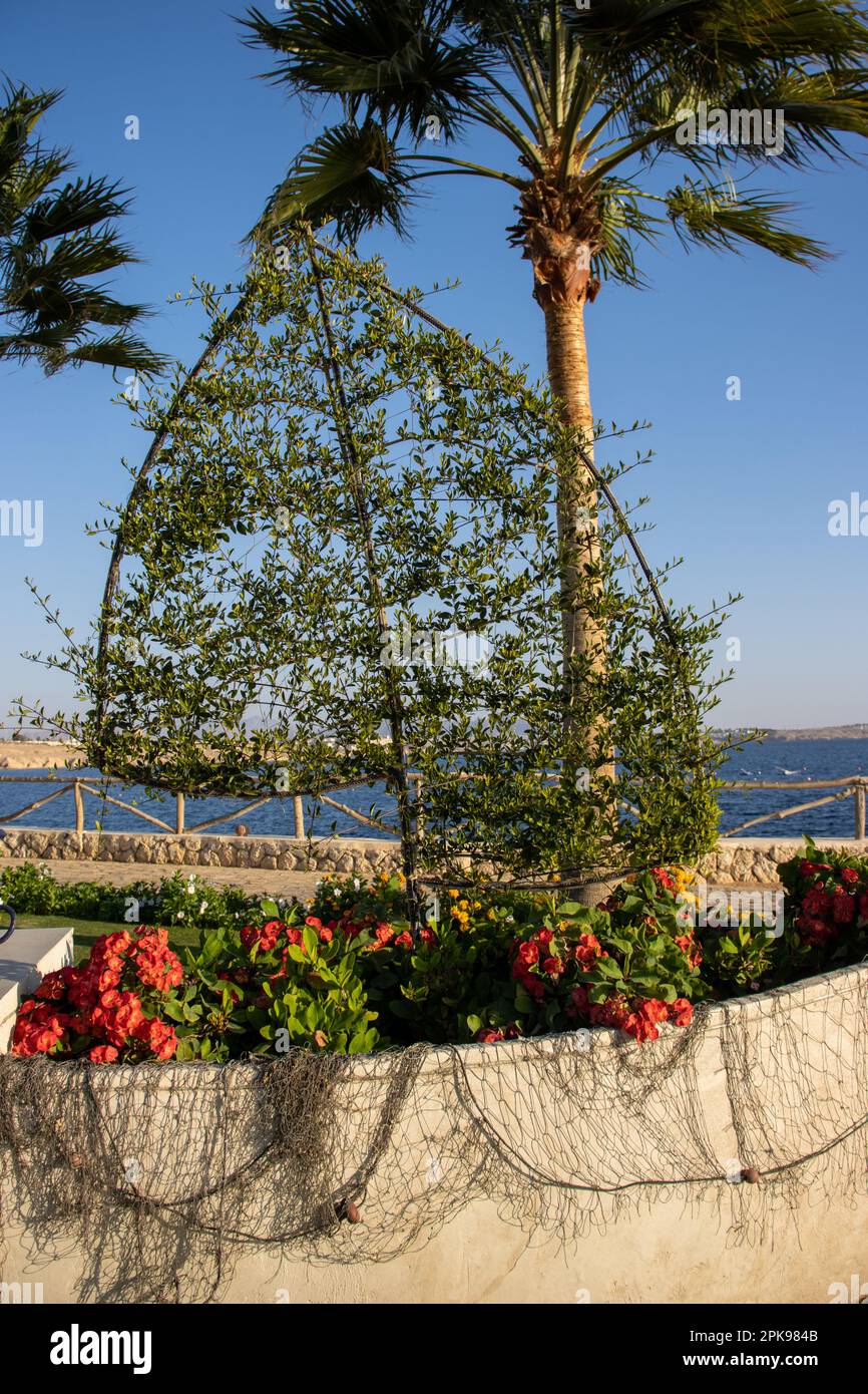 SHARM EL SHEIKH, EGYPT - JANUARY 27, 2023 Labranda Sharm Club formal ...