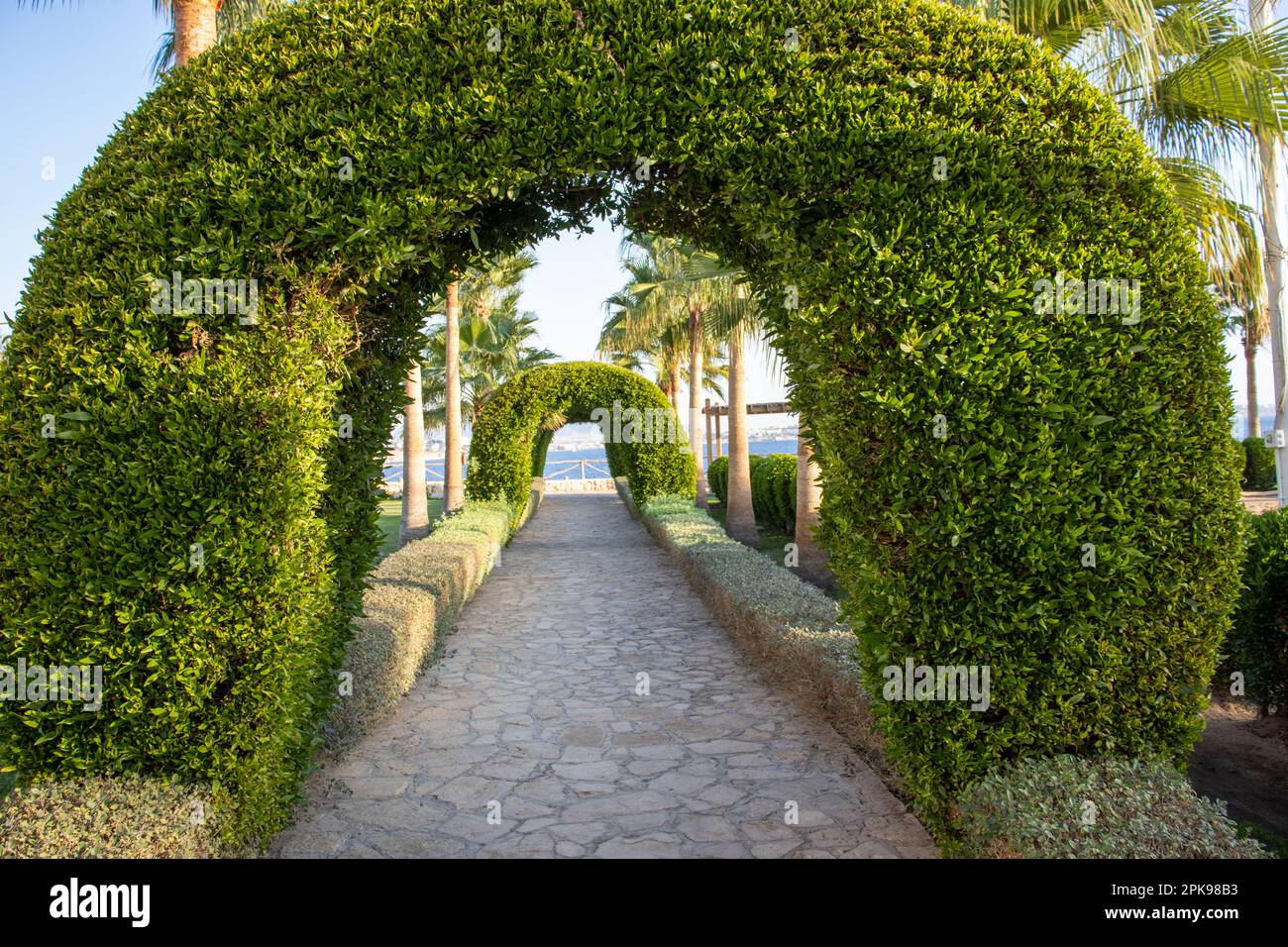 SHARM EL SHEIKH, EGYPT - JANUARY 27, 2023 Labranda Sharm Club formal ...